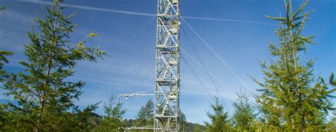 Ci Compass Links Atmospheric And Ecological Science Communities News