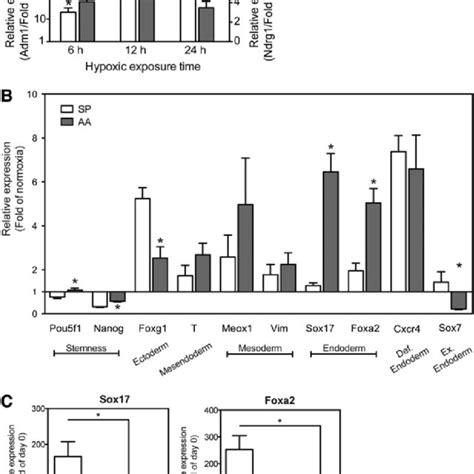 Duration Of Exposure To Hypoxia Modulates The Differentiation Into Download Scientific Diagram