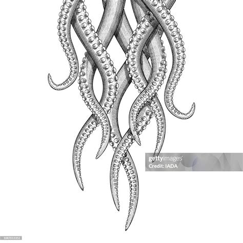 Tentacles High Res Vector Graphic Getty Images