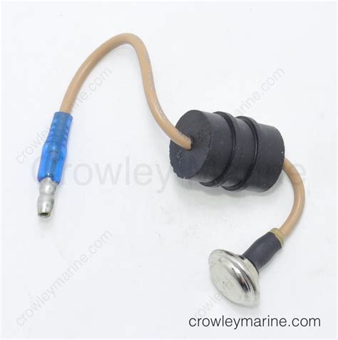 Evinrude Temperature Switch At Philip Mayers Blog