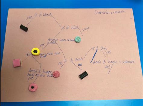 Y4 Science Classification Threemilestone Primary School