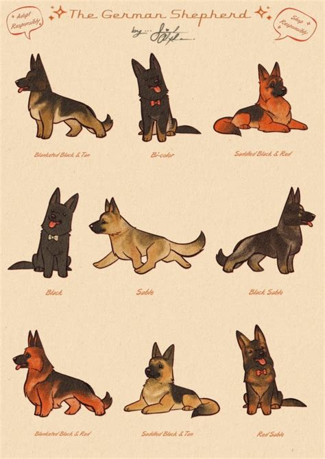 Anime German Shepherd Drawings