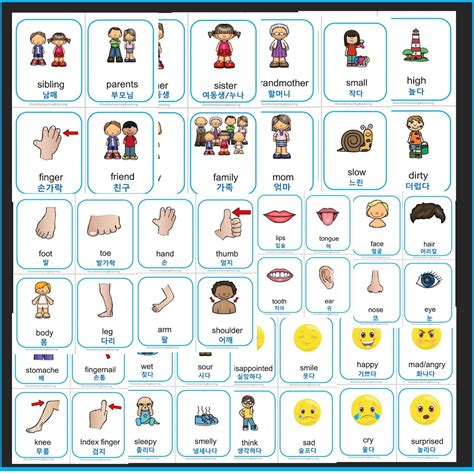 English Korean Words Flashcards 1 Etsy