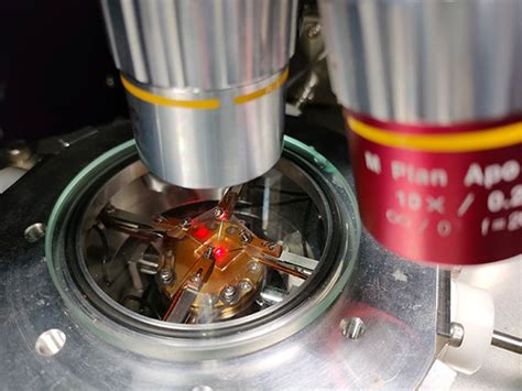 Unique Silicon Based Nanomaterials Find International Platform Mirage News