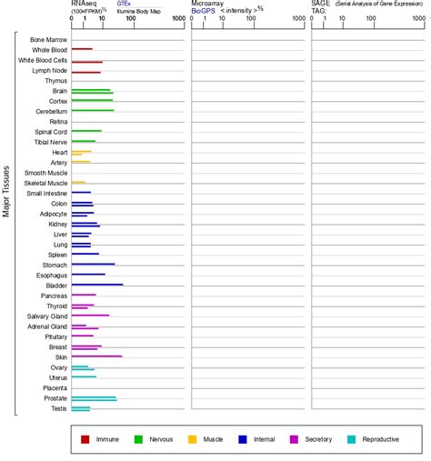 Sptssb Gene Genecards Sptsb Protein Sptsb Antibody