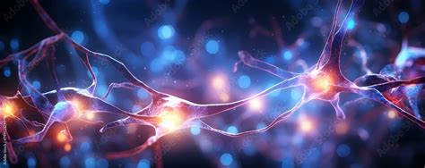 Mapping The Electrifying Neuronal Network A Glimpse Into Brains Electrical Activity In