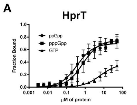 Authors Fig S2a Binding Curves For Radiolabeled Ppgpp Pppgpp And