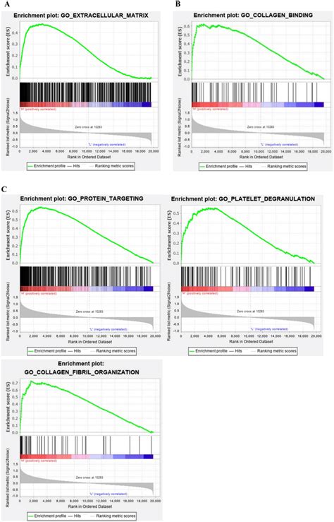 Go Cellular Component Molecular Function And Biological Process