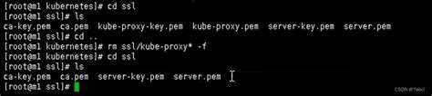 Kubernetes（2）k8s环境搭建：kubeadm安装、二进制方式安装二进制安装kubeadm、kubelet和kubectl Csdn博客