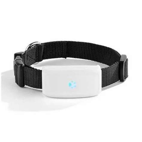 Plastic Pet Gps Tracking Device Lithium Ion Battery At Piece In Kishangarh