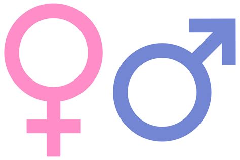 Vector Illustration Of Gender Symbols Icons And Symbols For Male And