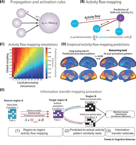 Figure 2 From Discovering The Computational Relevance Of Brain Network Organization Semantic