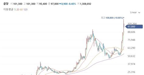 4000원짜리가 1년만에 10만원 투자경고 예고 금양롤러코스터 장세
