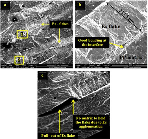 Sem Micrograph Of 20 Espp Composite Micrograph B Is A Magnification