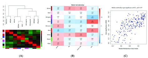 A The Eigengene Adjacency Heatmap The Dendrogram Indicates That The