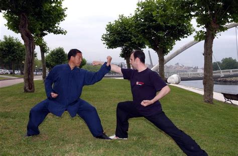 Wu Qin Xi Ejercicios