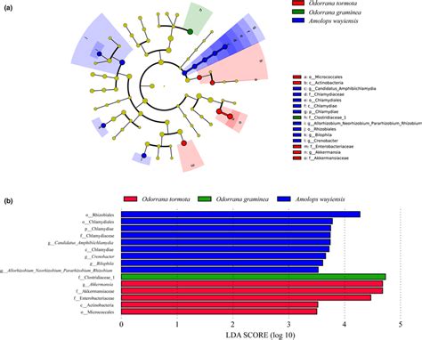 Linear Discriminant Analysis Effect Size Lefse Analysis Of Gut