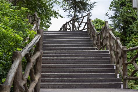 Garden Ladder Hd Photography Background Wallpaper Daily Signature