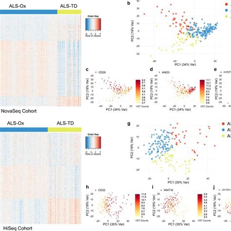 unsupervised clustering analysis with als postmortem cortex