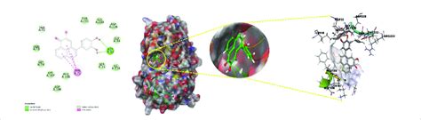Best Docked Pose Of Fdb017657 With 2zhv Displaying 2d Interaction Plot