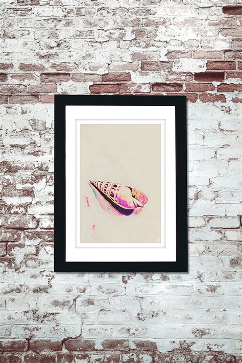 Auger Sea Shell Shelley Ide Jewellery