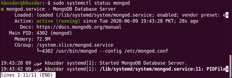 how to install mongodb ubuntu 20 04 pricelew