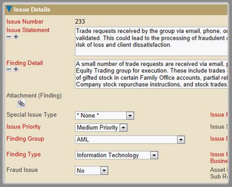 Financial Audit Control Extraview