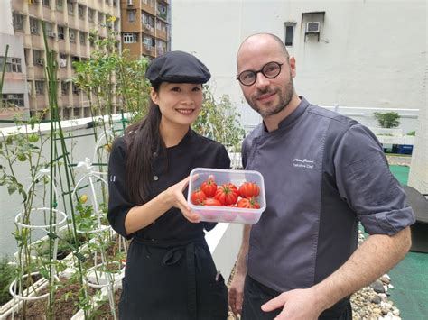 Sustainability Accor Accorsustainability Mgallery Akihkmgallery