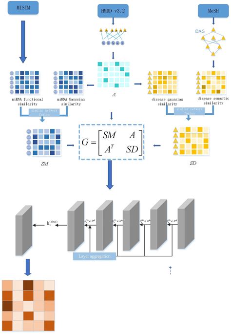 Frontiers Dejkmdr Mirna Disease Association Prediction Method Based On Graph Convolutional