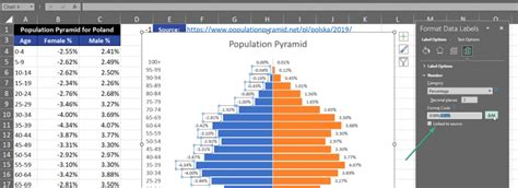 Population Pyramid Chart Excel And Adam