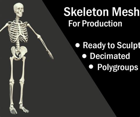 Artstation Skeleton Mesh 3d Model Resources