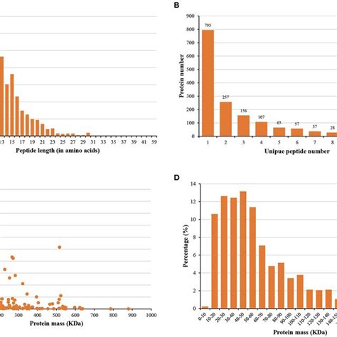 Distribution Of A Peptide Lengths B Numbers Of Peptides C