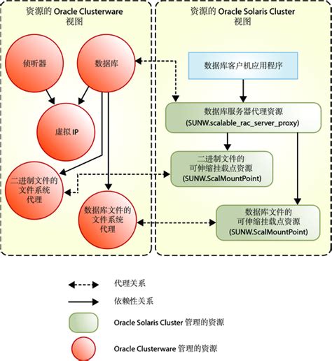 使用 Oracle Solaris Cluster 维护命令创建与 Oracle Grid Infrastructure 互操作的资源