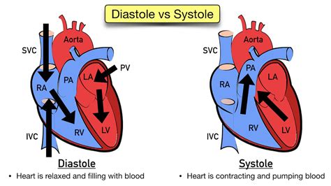 ecg waveform explained ekg labeled diagrams and components 41 off