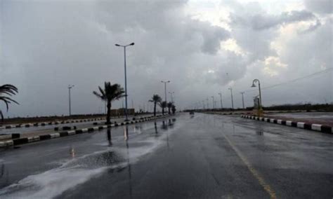 الأرصاد طقس اليوم شديد البرودة ليلا والصغرى بالقاهرة 11درجة الهيئة