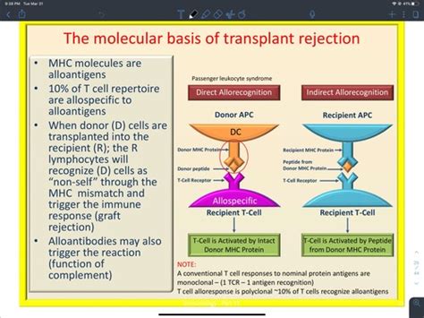 All Of Immuno Block 7 Flashcards Quizlet