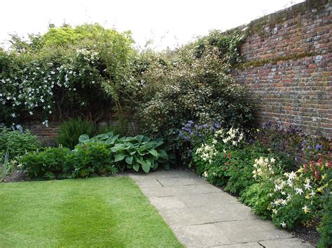 Как посадить цветы вдоль забора 94 фото НА ДАЧЕ ФОТО