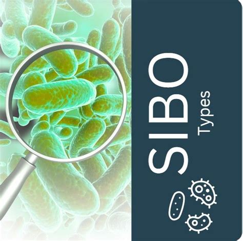 Hydrogen Sulfide Producing Gut Bacteria Sibo Academy