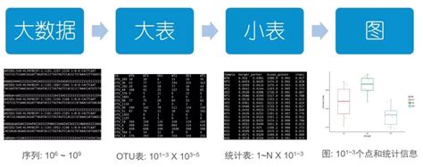 三天实现独立分析宏基因组数据 有参、无参和分箱等 csdn博客