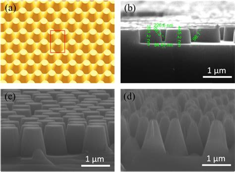 A Schematic Diagram Of A Nanopillar Array Where The Red Box