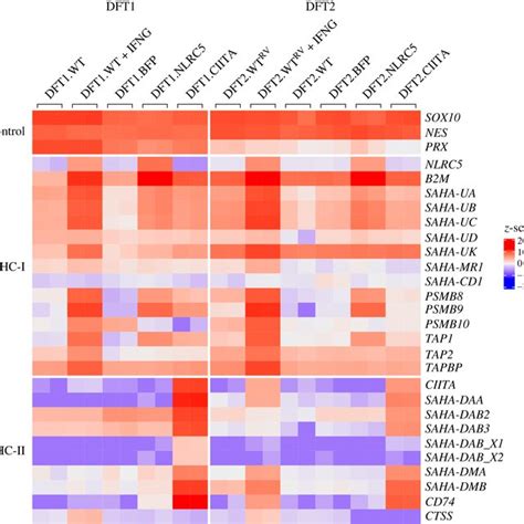Heatmap Showing Relative Expression Of Genes Involved In Mhc I And