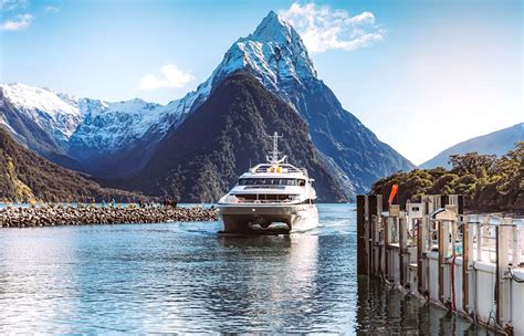 Milford Sound Lodging Hotel Options For Every Budget