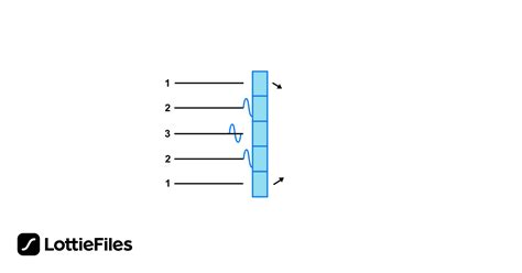 Free Linear Transducer Array Ultrasound Focus Animation By Joana