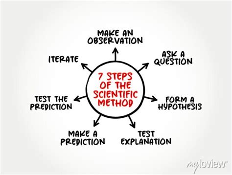 7 Steps Of The Scientific Method Mind Map Text Concept For