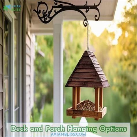 How To Hang A Bird Feeder Without A Tree Creative No Tree Solutions