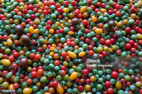 빨간색 노란색 녹색 토마토의 배경 토마토의 상자 클로즈업에 아름다운 색상 혼합물 출판 포스터 스크린 세이버 벽지 엽서 배너 커버 게시물에 대한 1000 신선한 토마토 가을에