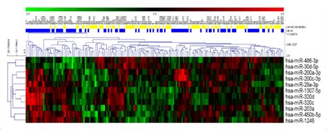 Hierarchical Clustering Of The Eleven Statistically Significant Mirnas