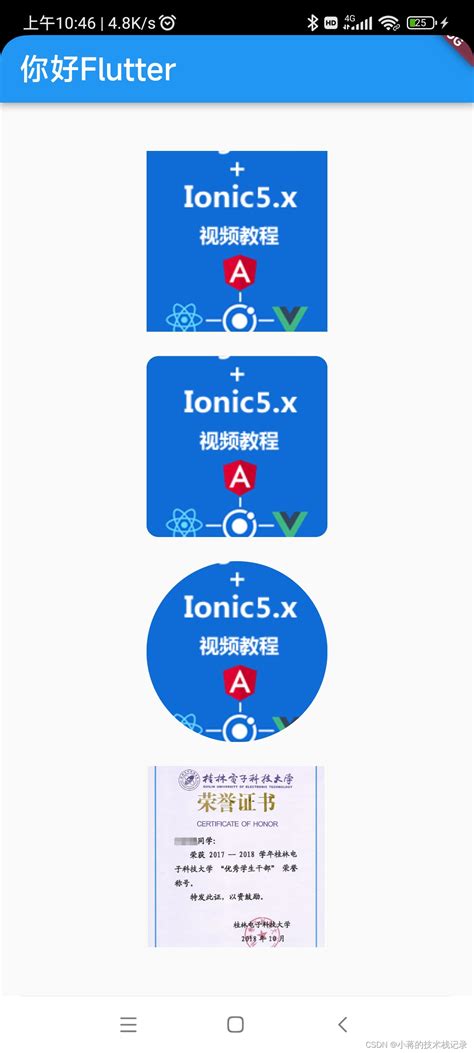 Flutter 图片组件image、本地图片、远程图片、图片剪切、圆形图片 Csdn博客