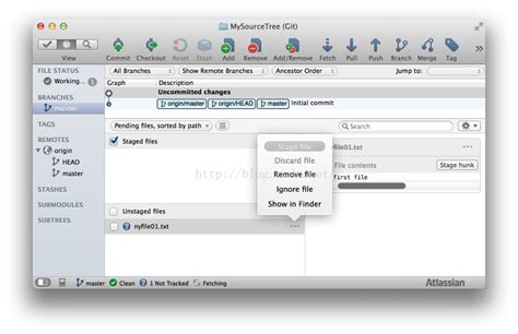 【gitsource Tree使用教程之一】commit And Pushsource Tree Commit Csdn博客