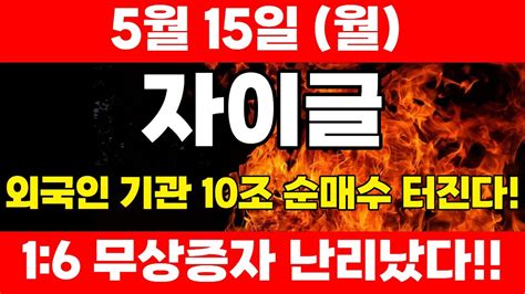 자이글 월요일 8000억 투자확정났따 난리 아침 시초가 부터 10연상 터진다자이글 자이글주가 Youtube